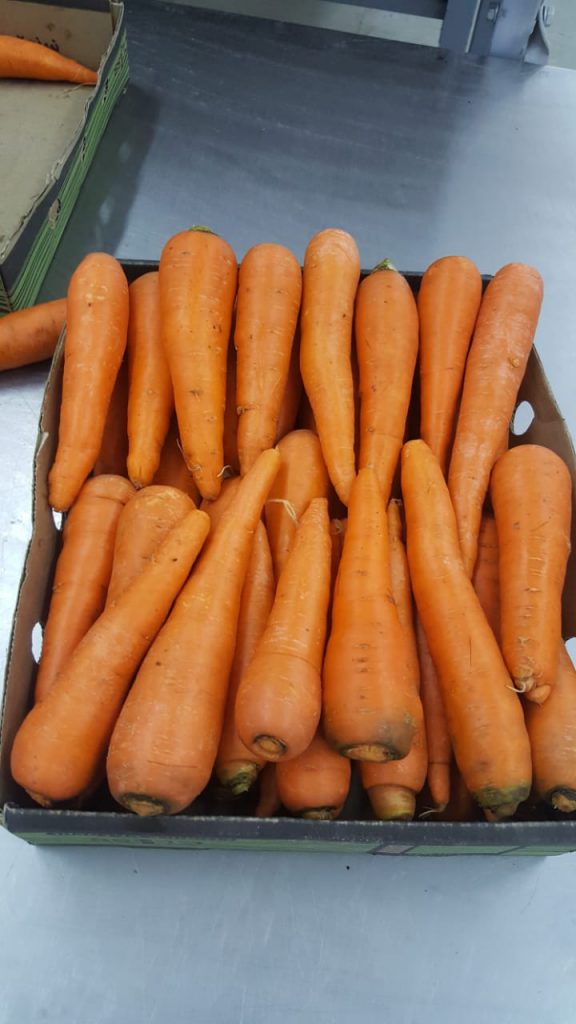 Carrot – Fruit Food Egypt