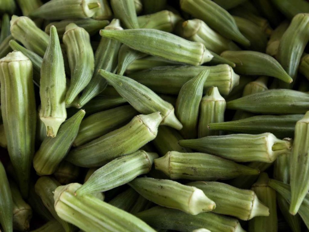 Okra – Fruit Food Egypt
