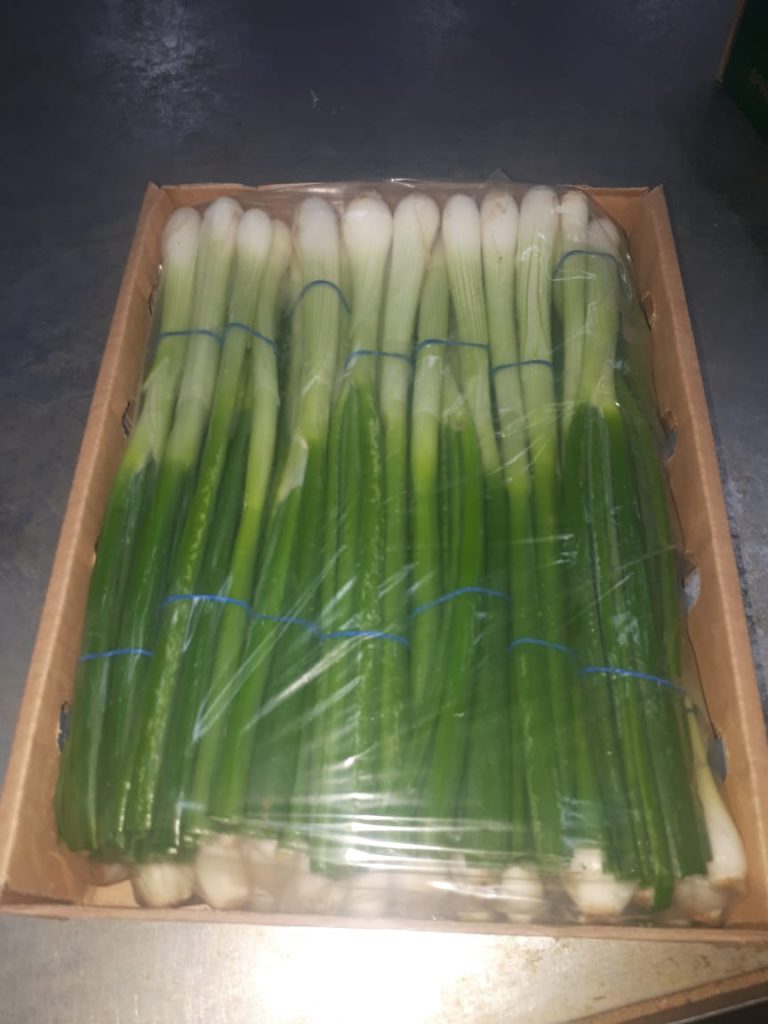 Spring onion – Fruit Food Egypt